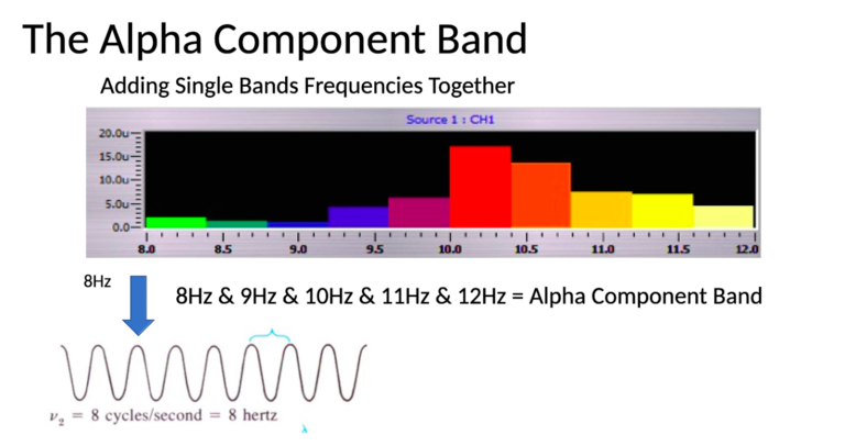 Understanding Brainwave Frequency: How Dominant Frequencies Guide ...